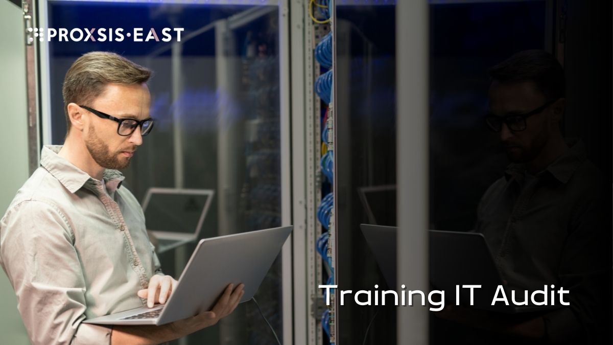 Training IT Audit